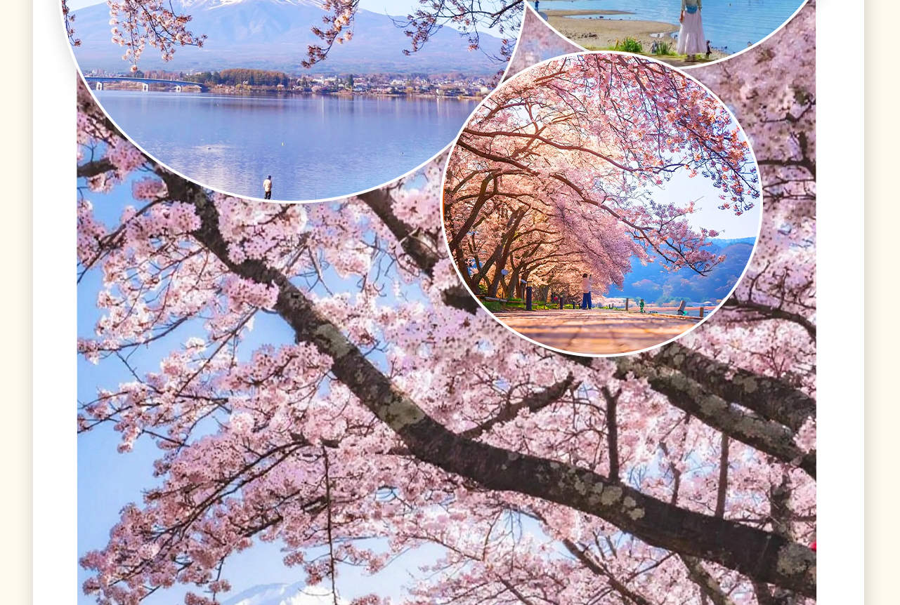 [One-day tour of Mount Fuji Internet celebrity & classic check-in ...